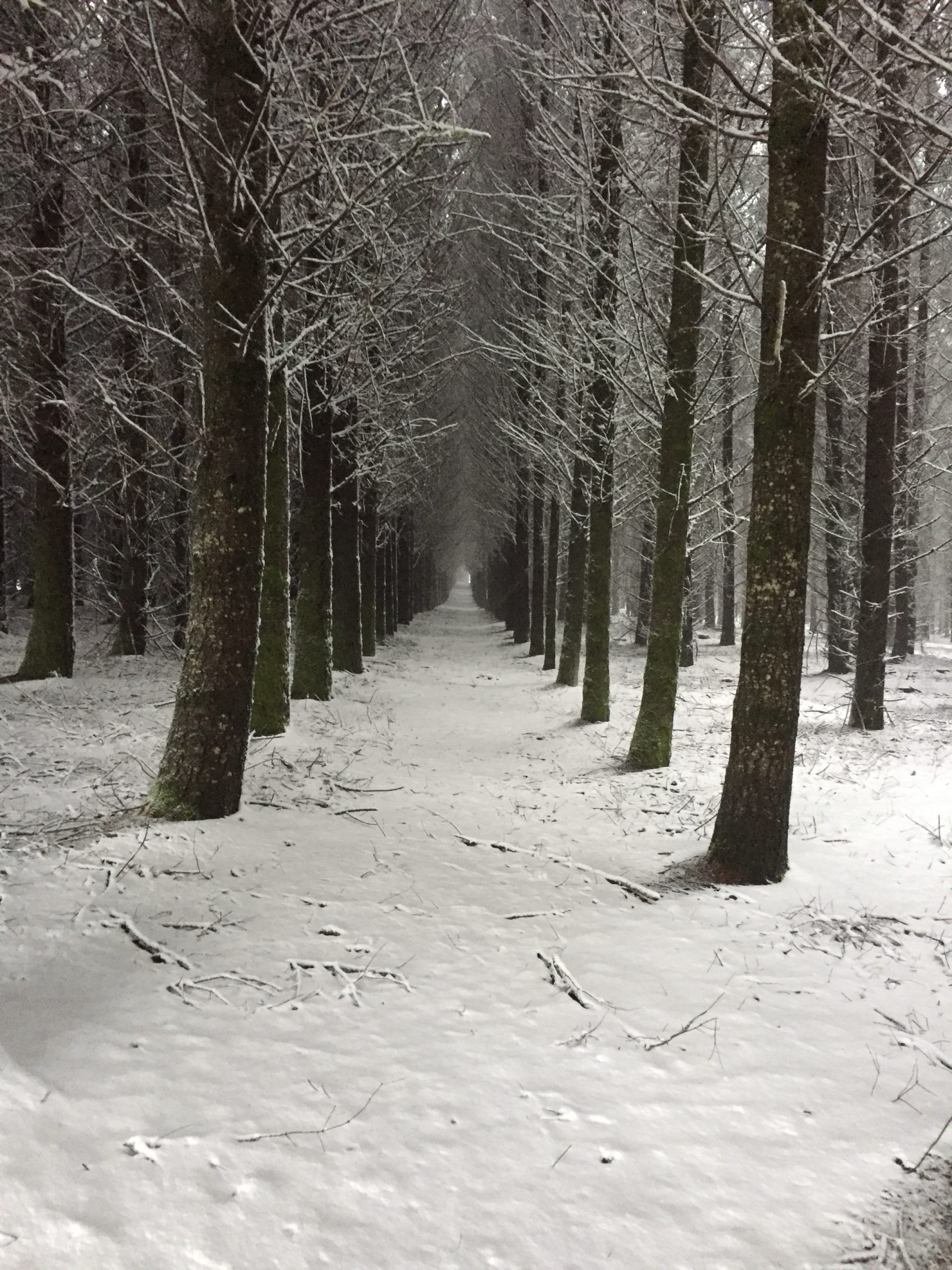 Studio – Ethereal Motion Productions